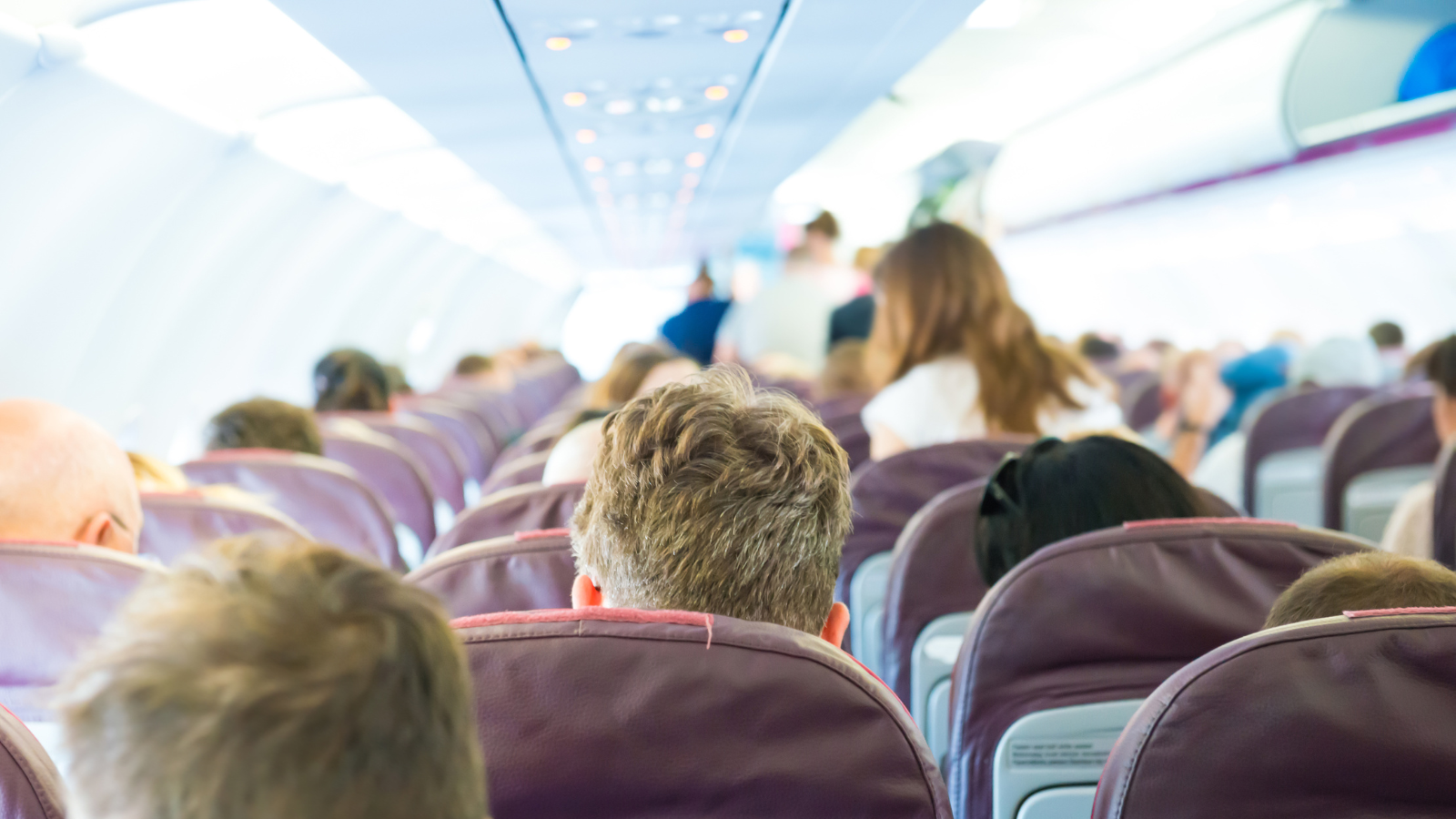 Airline industry must implement new cabin air standards | ETUC